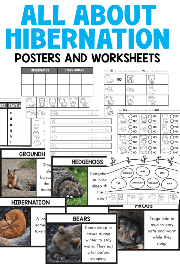 Hibernation Activities for Kindergarten, Preschool, and First Grade ...